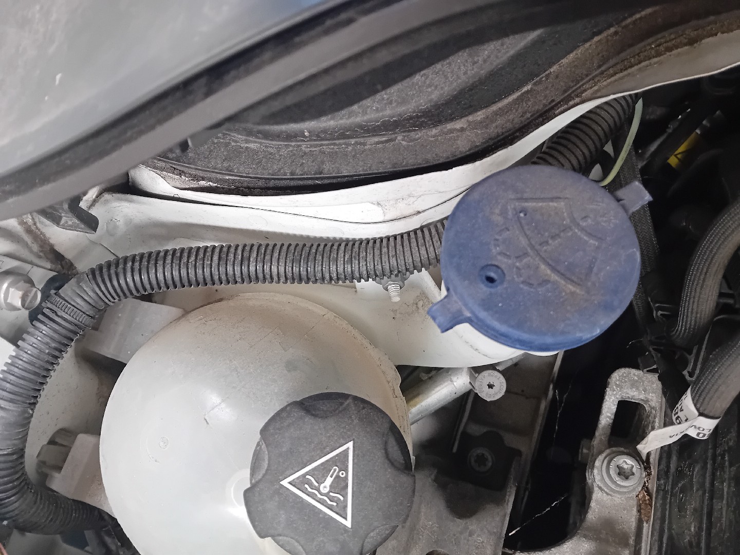 Réservoir/Lave-Glace d'Eau du Pare-Brise pour CITROEN C3 III - Ambiponto