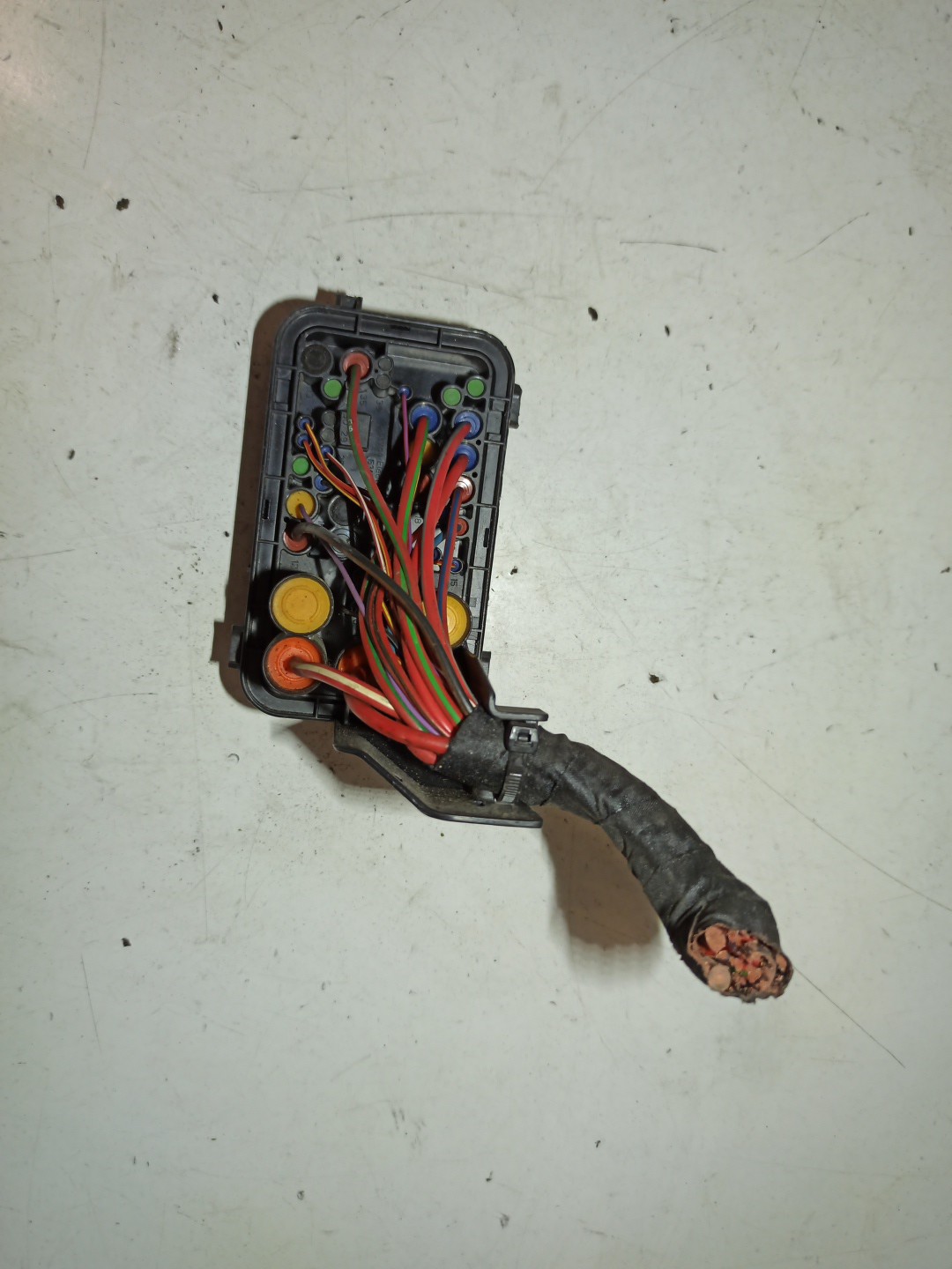 Conector elétrico AUDI - Motivauto