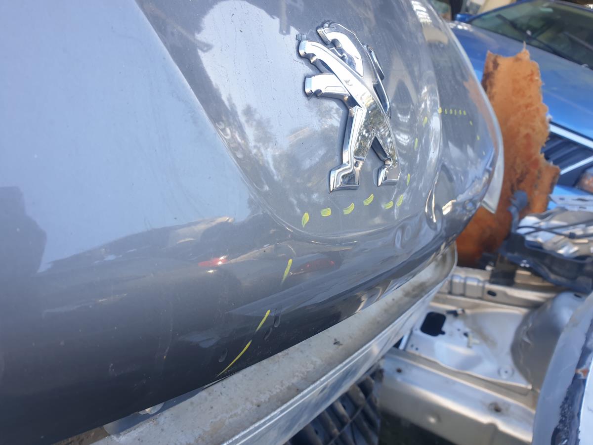 Capot: PEUGEOT 208 I - |Servcarros