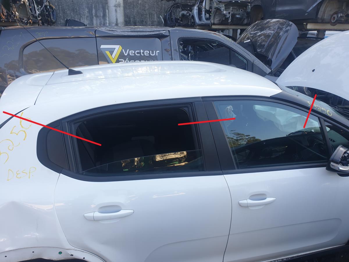 Automobile Roof: CITROEN C3 III - |Servcarros