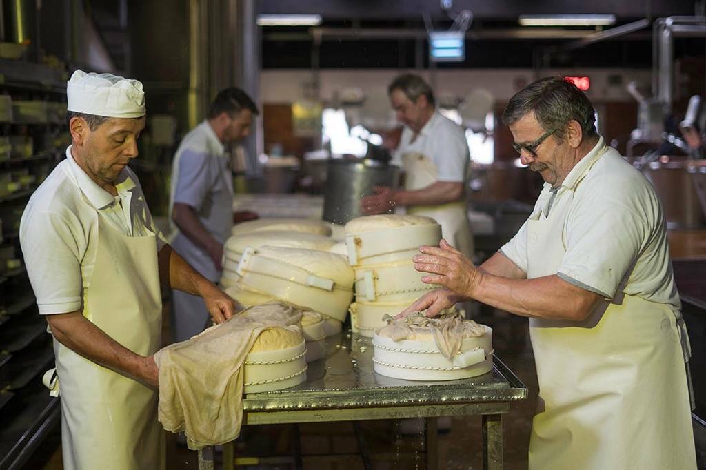 Venite con noi a scoprire come nascono i nostri formaggi… (prima parte ...