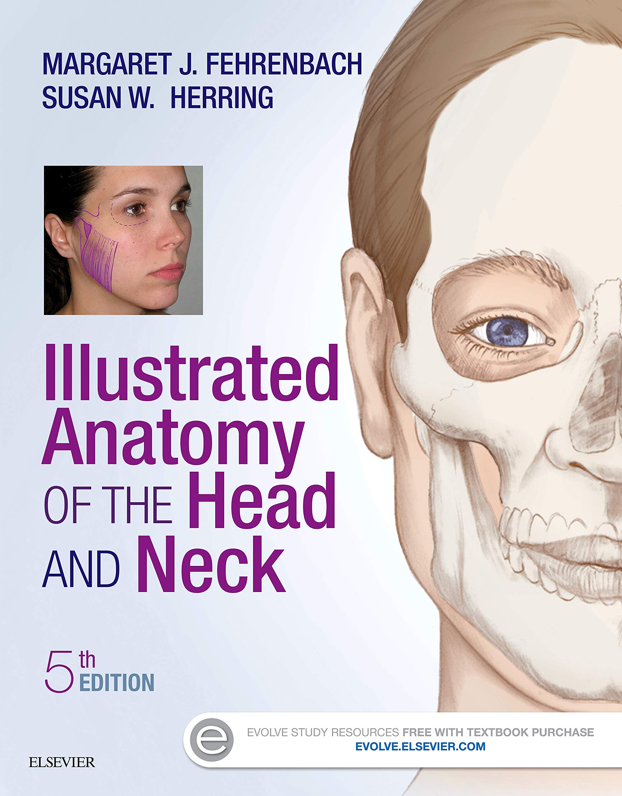 Illustrated Anatomy of the Head and Neck كتاب pdf بواسطه مارجريت ...