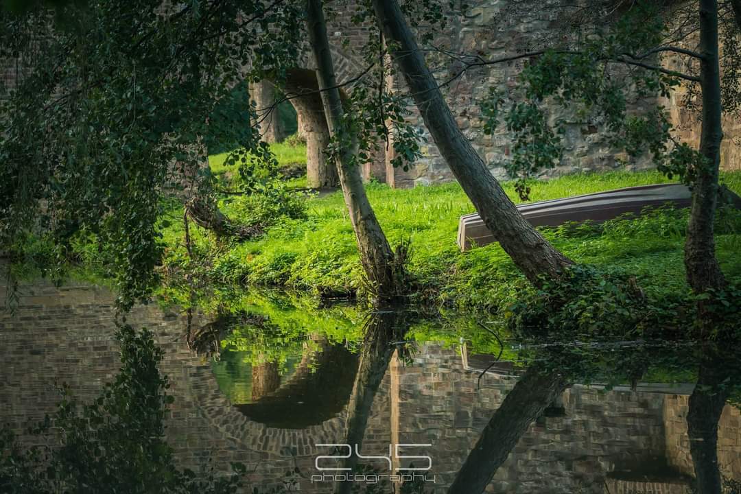 Two Forty Five Photography | Fotograf aus Merzenich kontaktieren und