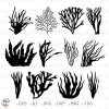 Seaweed Svg Silhouette Cutting Clipart Png Stencil Dxf - Crealandia