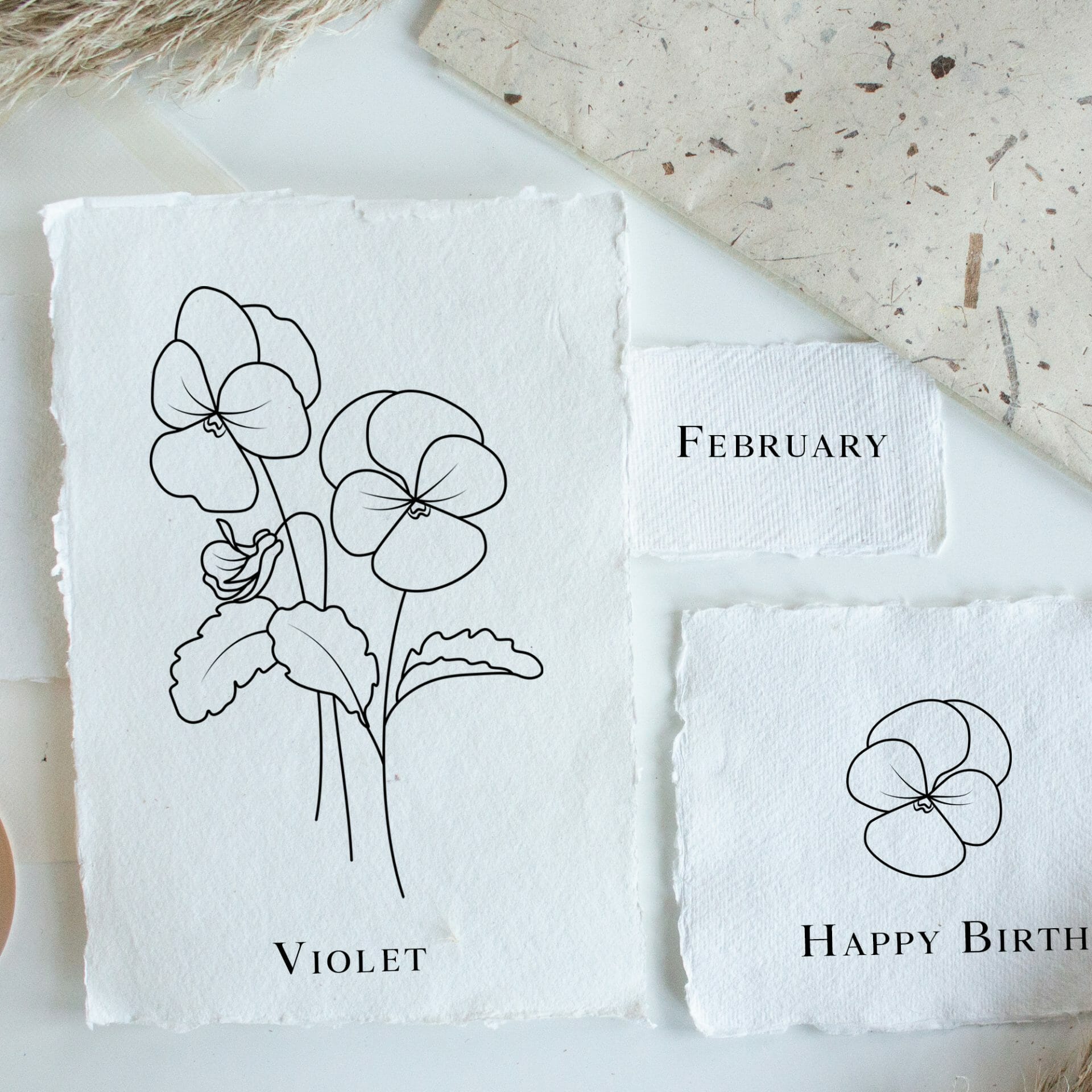 Violet birth month flower vector floral line illustrations