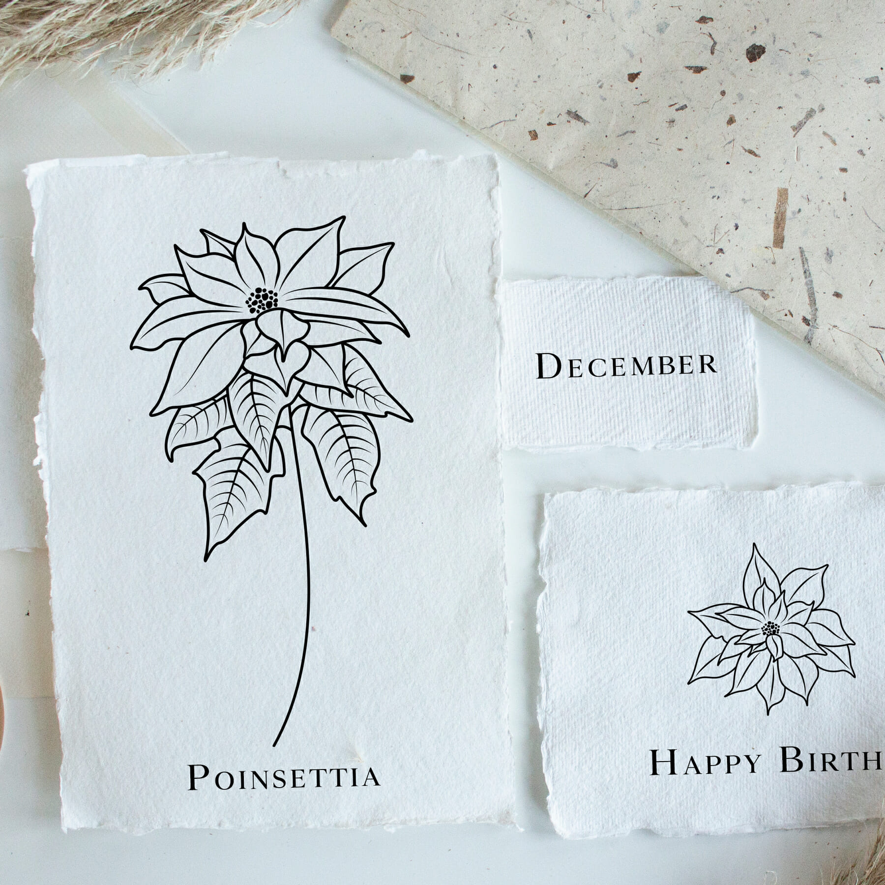 Poinsettia December Birth Month Flower Vector Illustrations