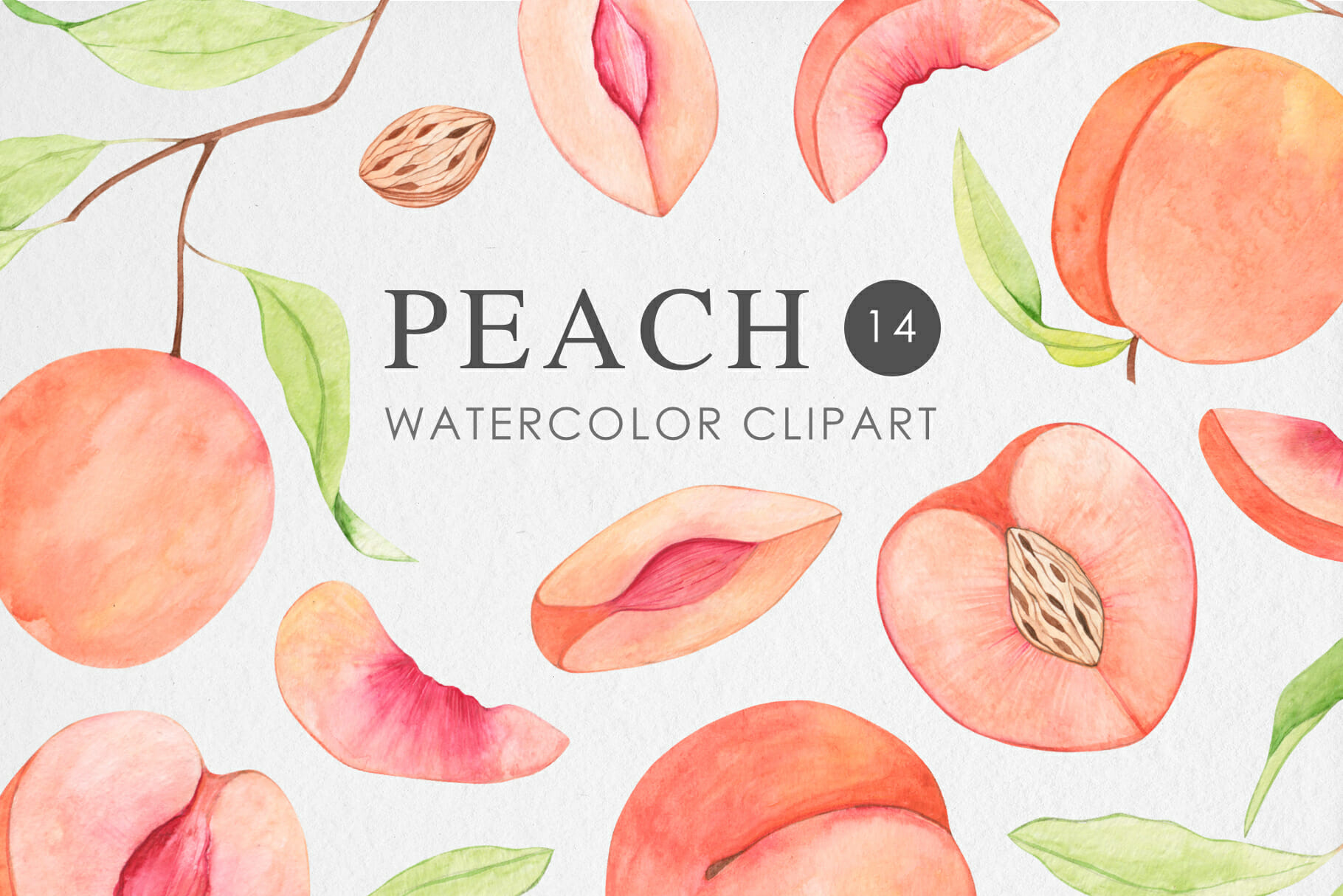 Watercolor Peach Fruit Clipart PNG