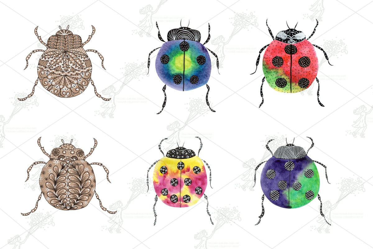 Beetles Watercolor Clipart, PNG - Crealandia