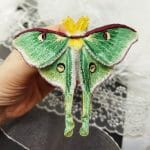 Hand Embroidered Luna Moth PDF Pattern