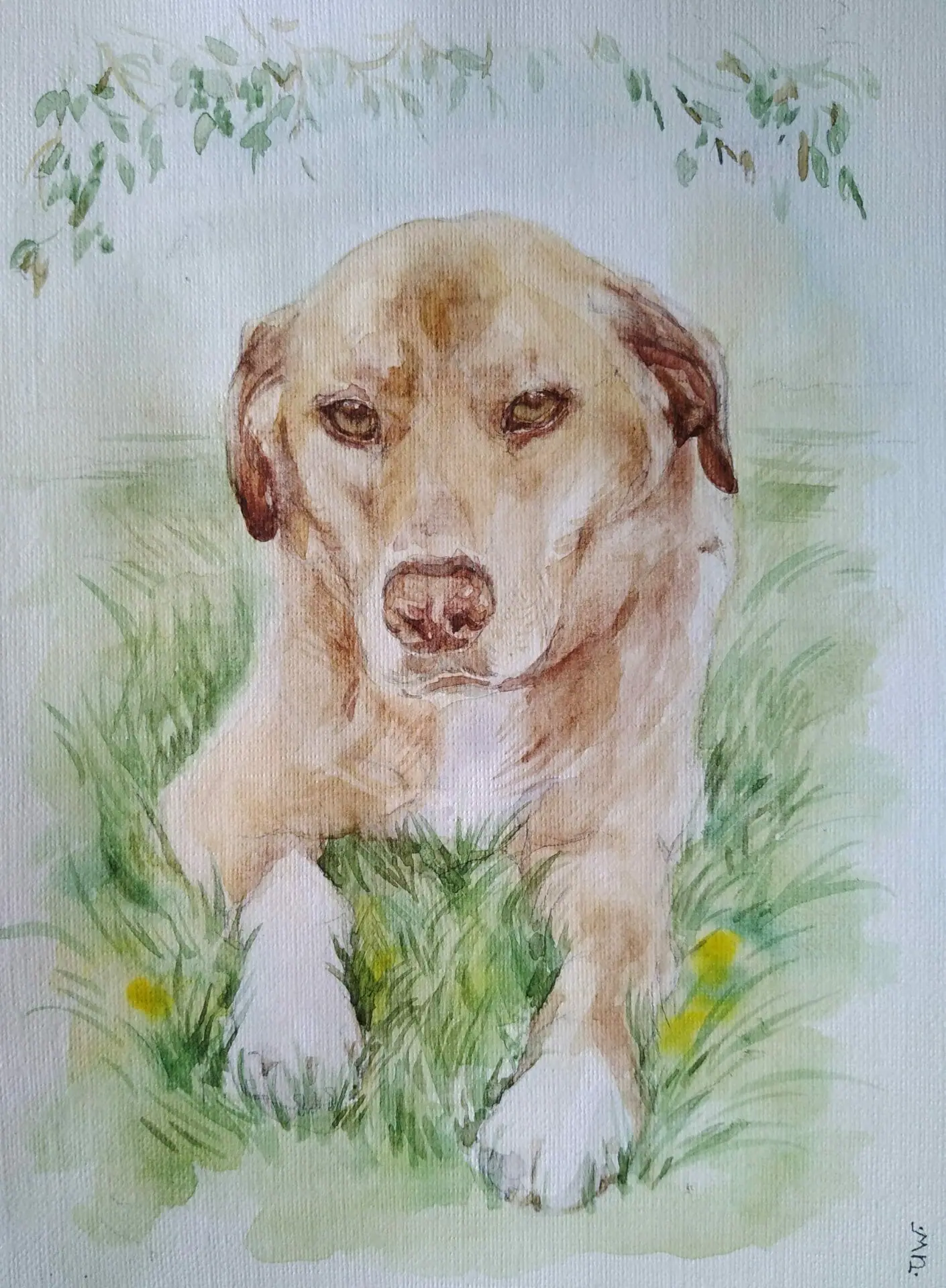 Beautiful Summer Rain Watercolor Painting