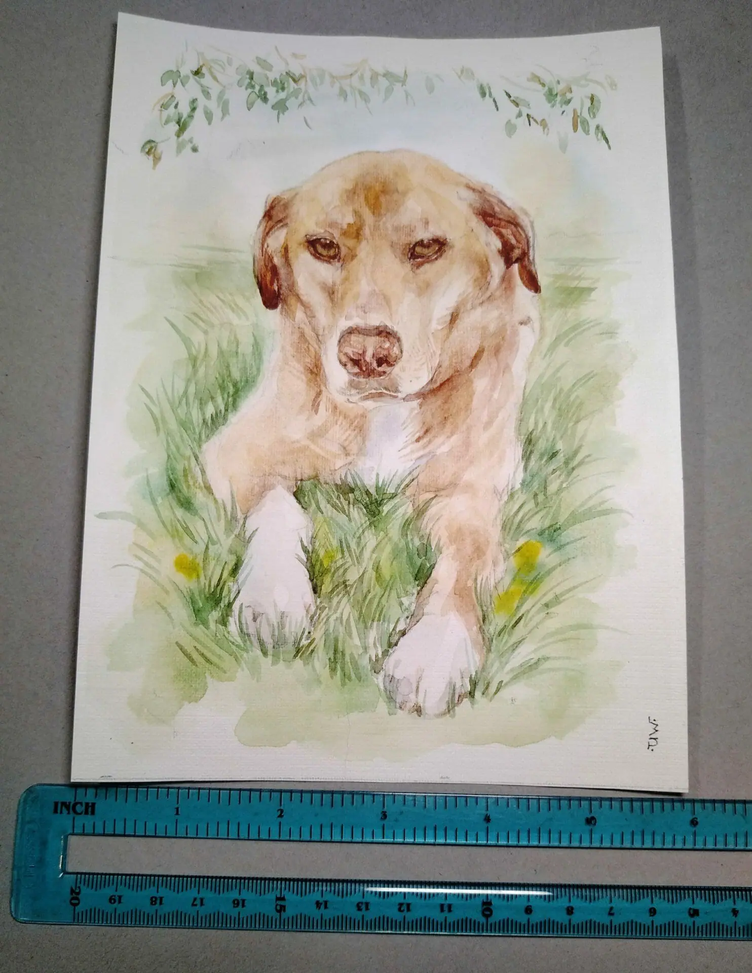 Beautiful Summer Rain Watercolor Painting