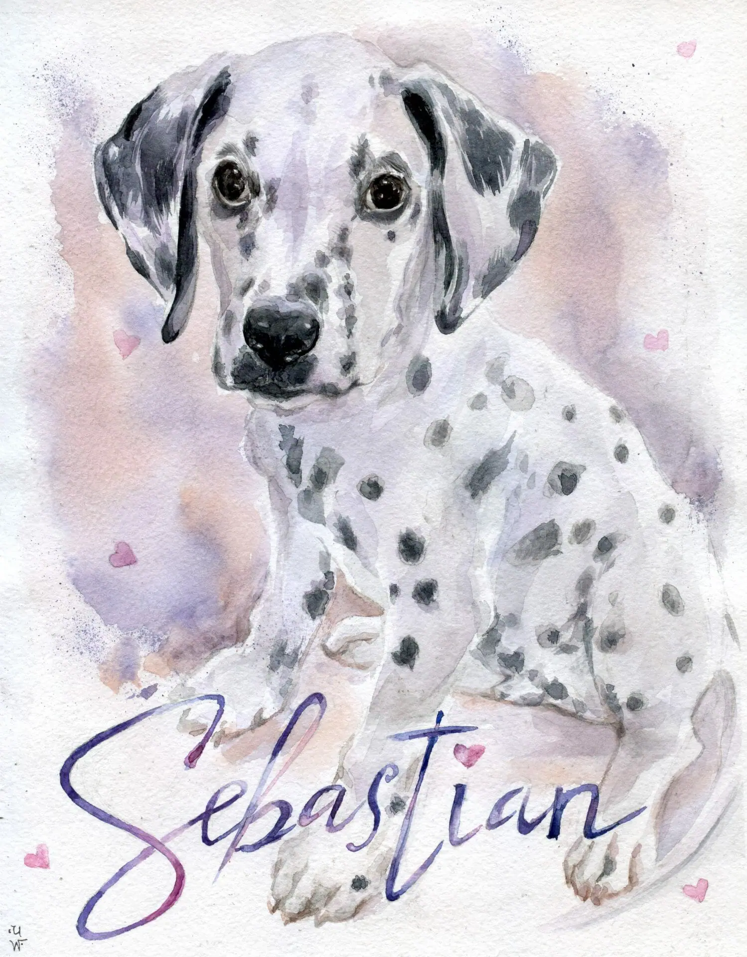Sweet Sebastian Watercolor Painting Memorial Portrait
