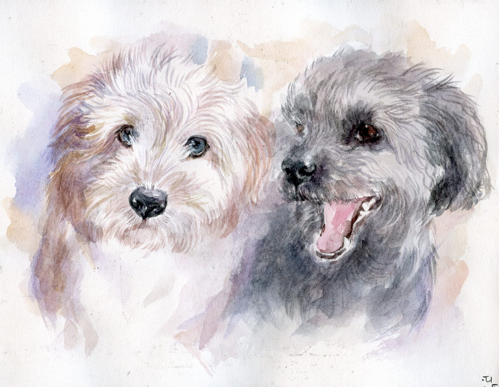 Sweet Amber And Gizmo Memorial Portrait Downloadable File
