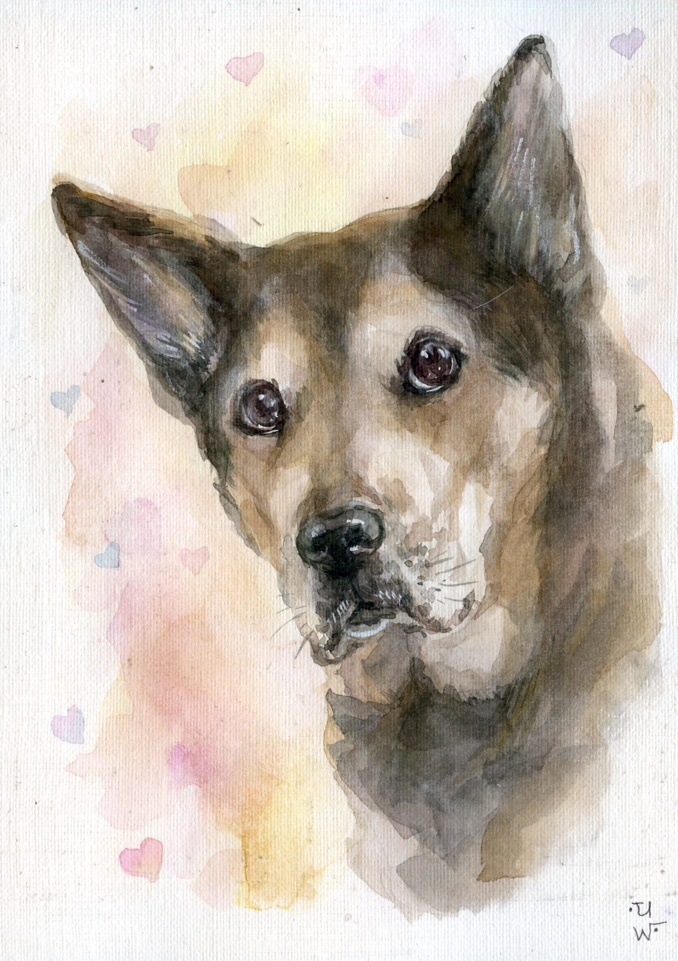 Sweet Pumpkin Memorial Portrait Watercolor Painting