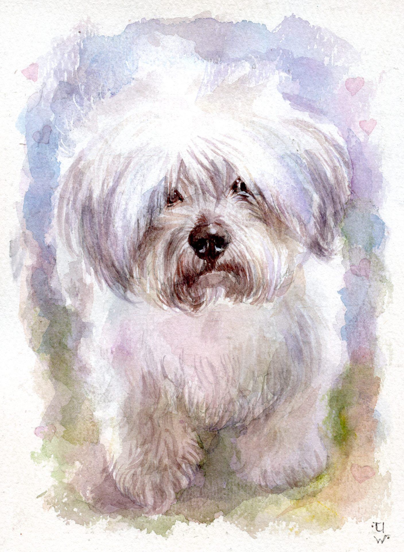 Sweet Skeeter Portrait Watercolor Painting