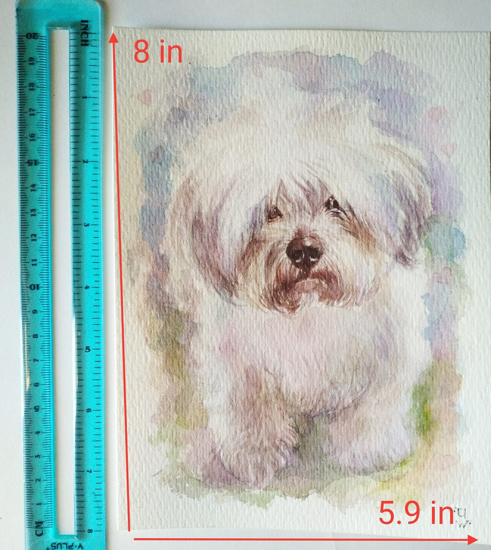 Sweet Skeeter Portrait Watercolor Painting