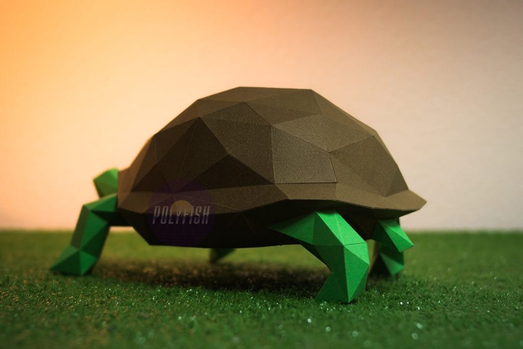 DIY Turtle template Papercraft PDF - Crealandia