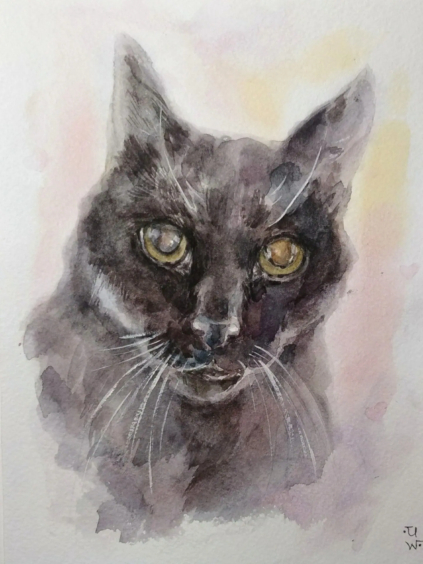 Sweet Colby Portrait Watercolor Painting