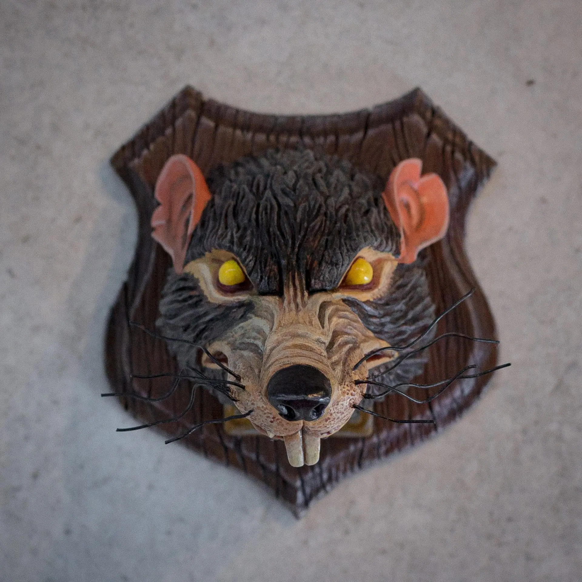 Trophy head of a rat of the first level, souvenir