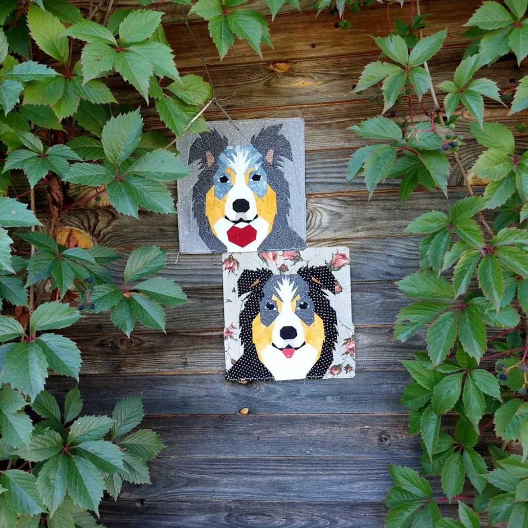 Australian shepherd quilt block patterns 4 versions