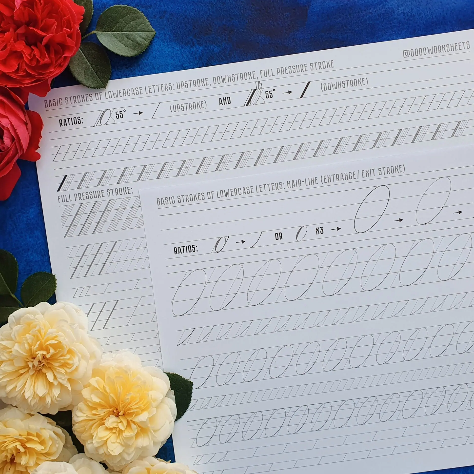 Copperplate calligraphy style 2.0 Lowercase letters Printable PDF ...