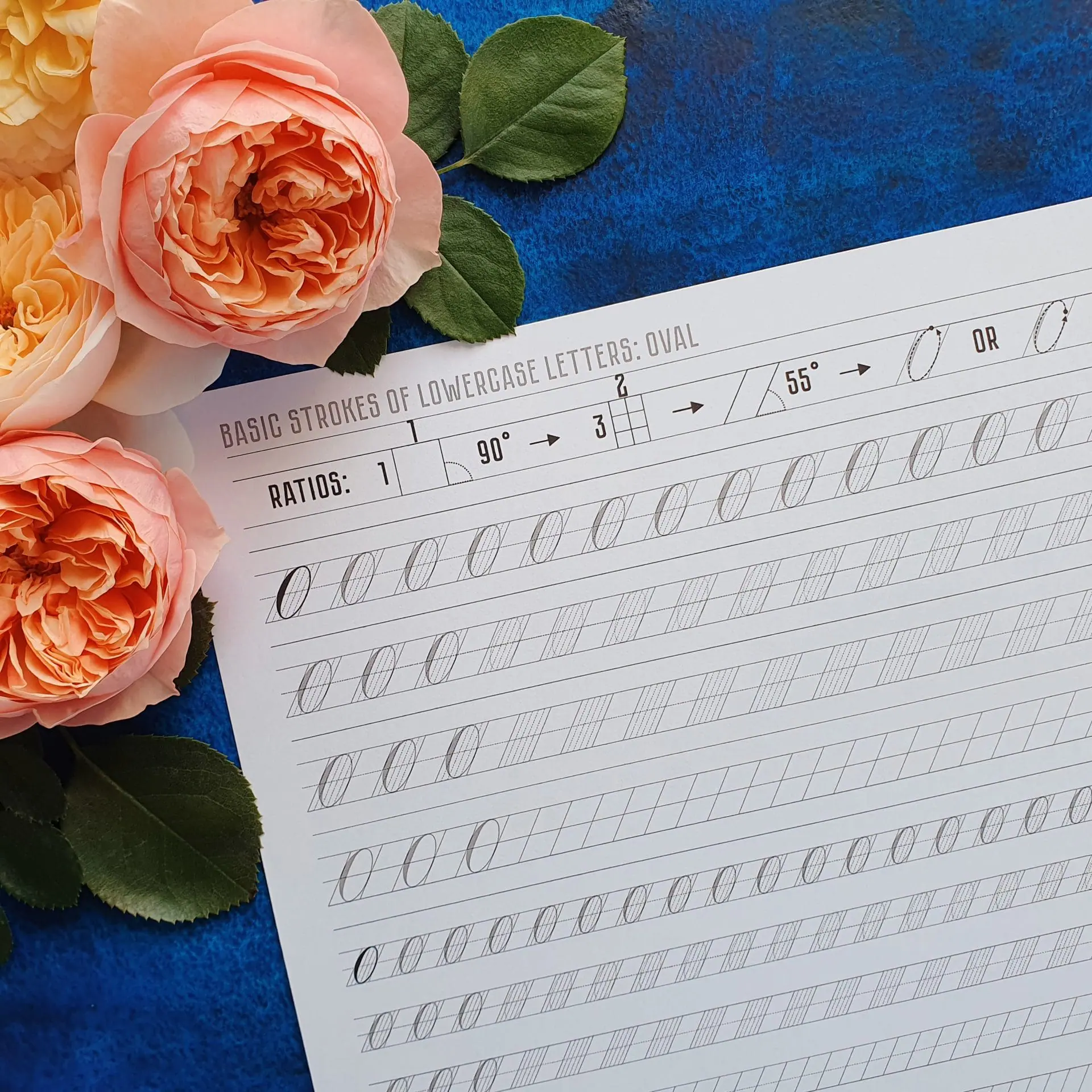 Copperplate calligraphy style 2.0 Lowercase letters Printable PDF ...