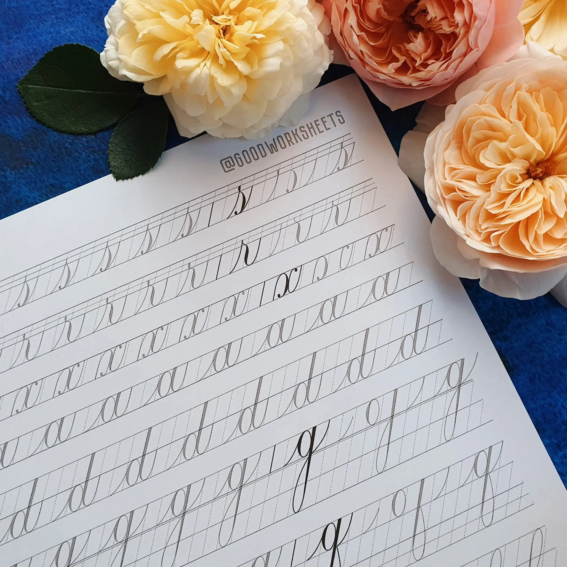 Copperplate calligraphy style 2.0 Lowercase letters Printable PDF ...