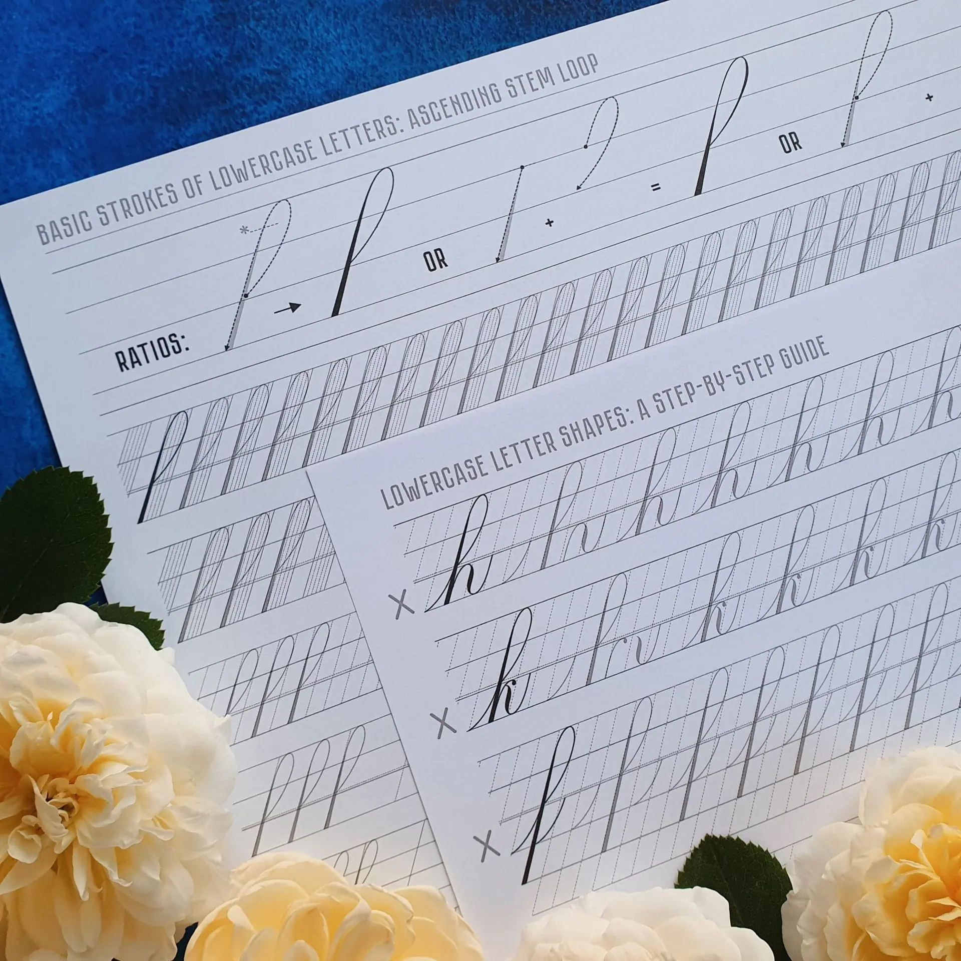 Copperplate calligraphy style 2.0 Lowercase letters Printable PDF ...