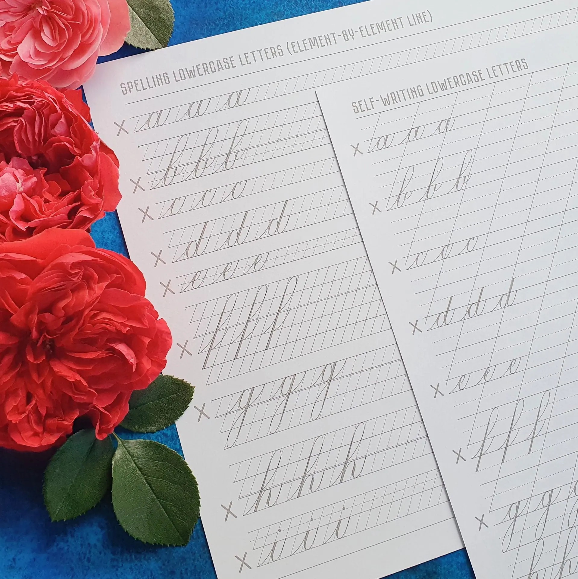 Copperplate calligraphy style 2.0 Lowercase letters Printable PDF ...