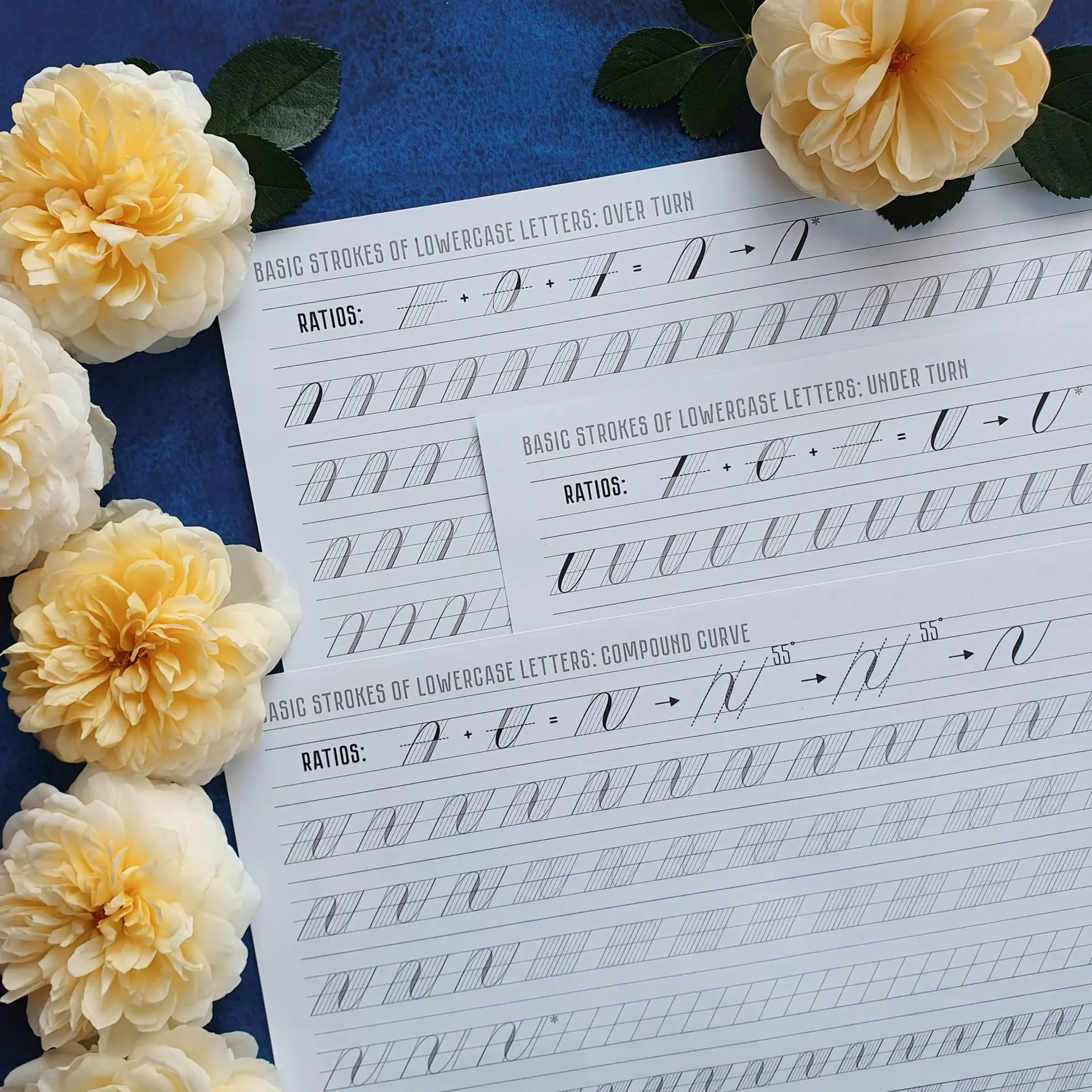 Copperplate calligraphy style 2.0 Lowercase letters Printable PDF ...