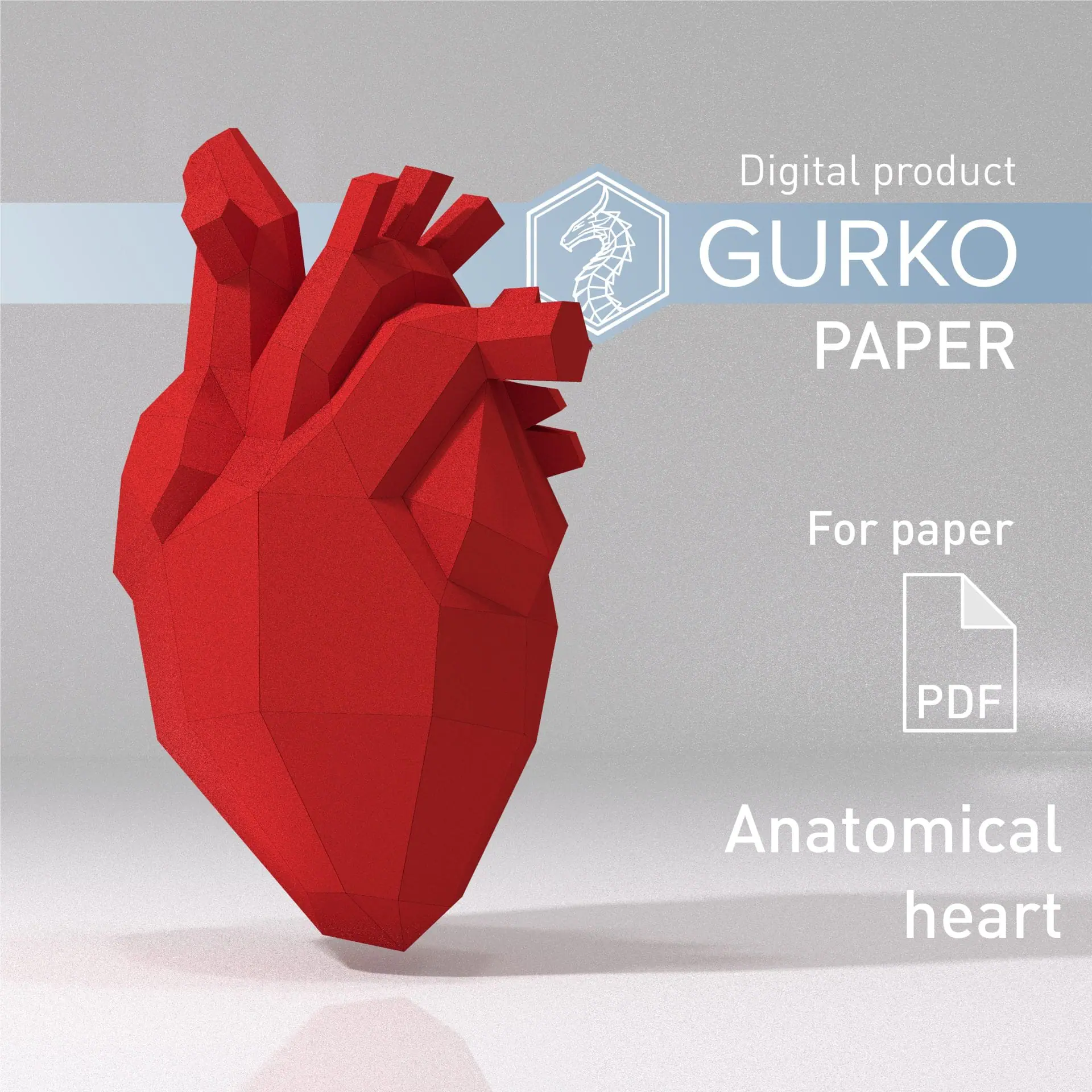 Anatomical Heart Papercraft, Digital Template, PDF Download - Crealandia