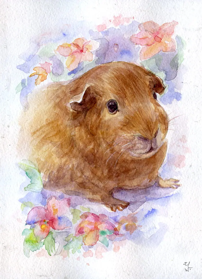 Set Of 3 Pet Portraits Watercolor Painting Commission