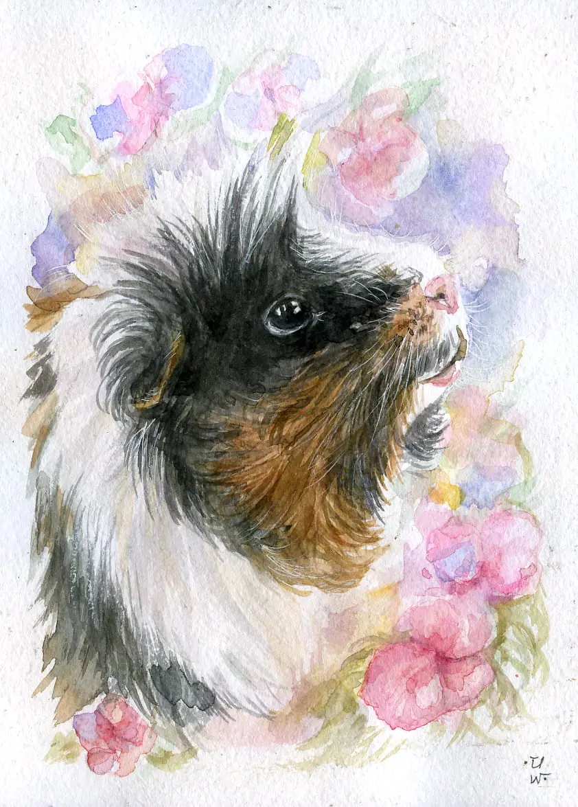 Set Of 3 Pet Portraits Watercolor Painting Commission