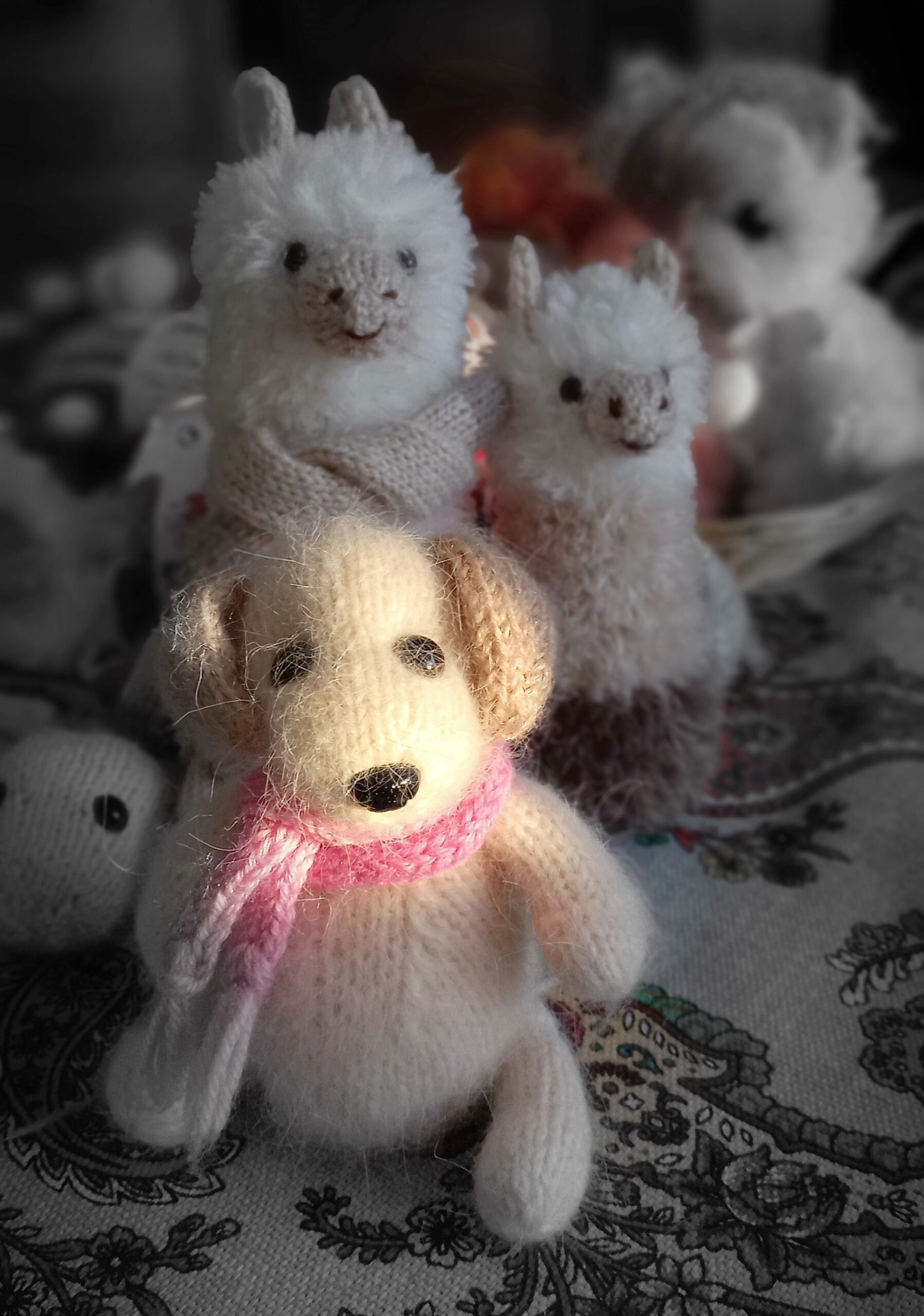 LABRADOR - DailyDoll Shop