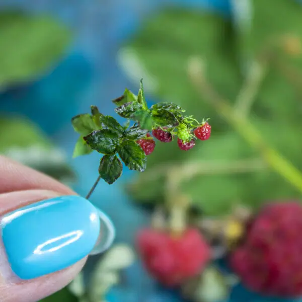 TUTORIAL Miniature raspberry with polymer clay and air dry clay ...
