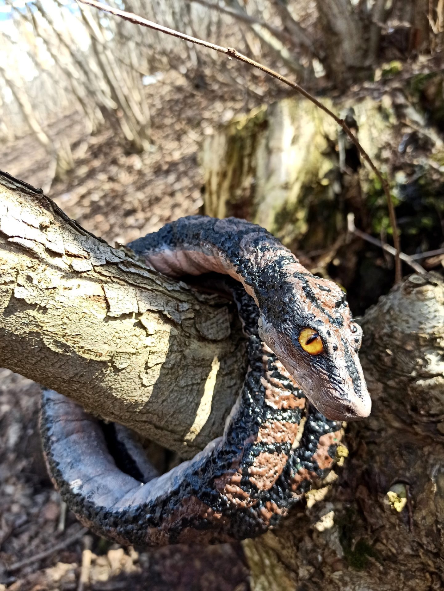 realistic python for a photo shoot,Handmade doll. Art doll