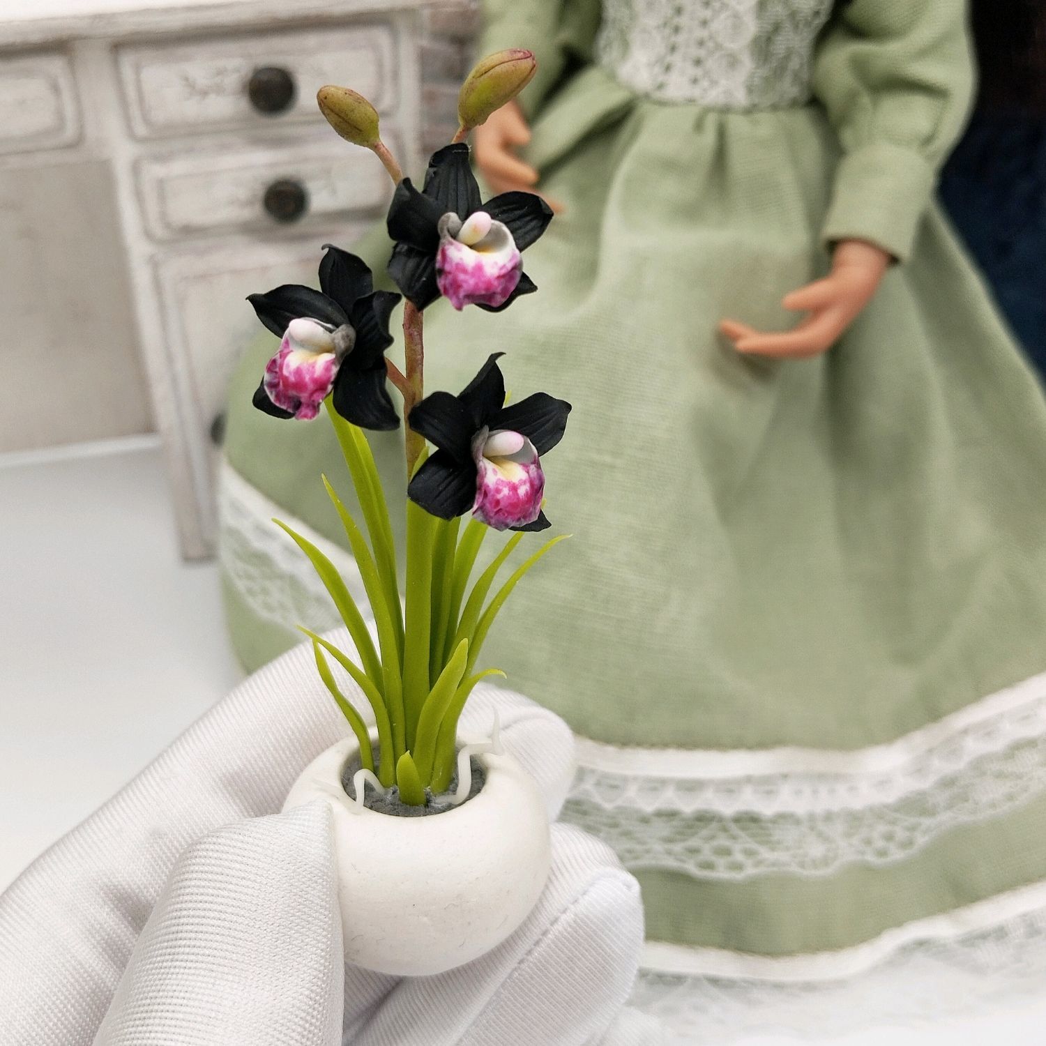 miniature black orchid in pot scale 1 6