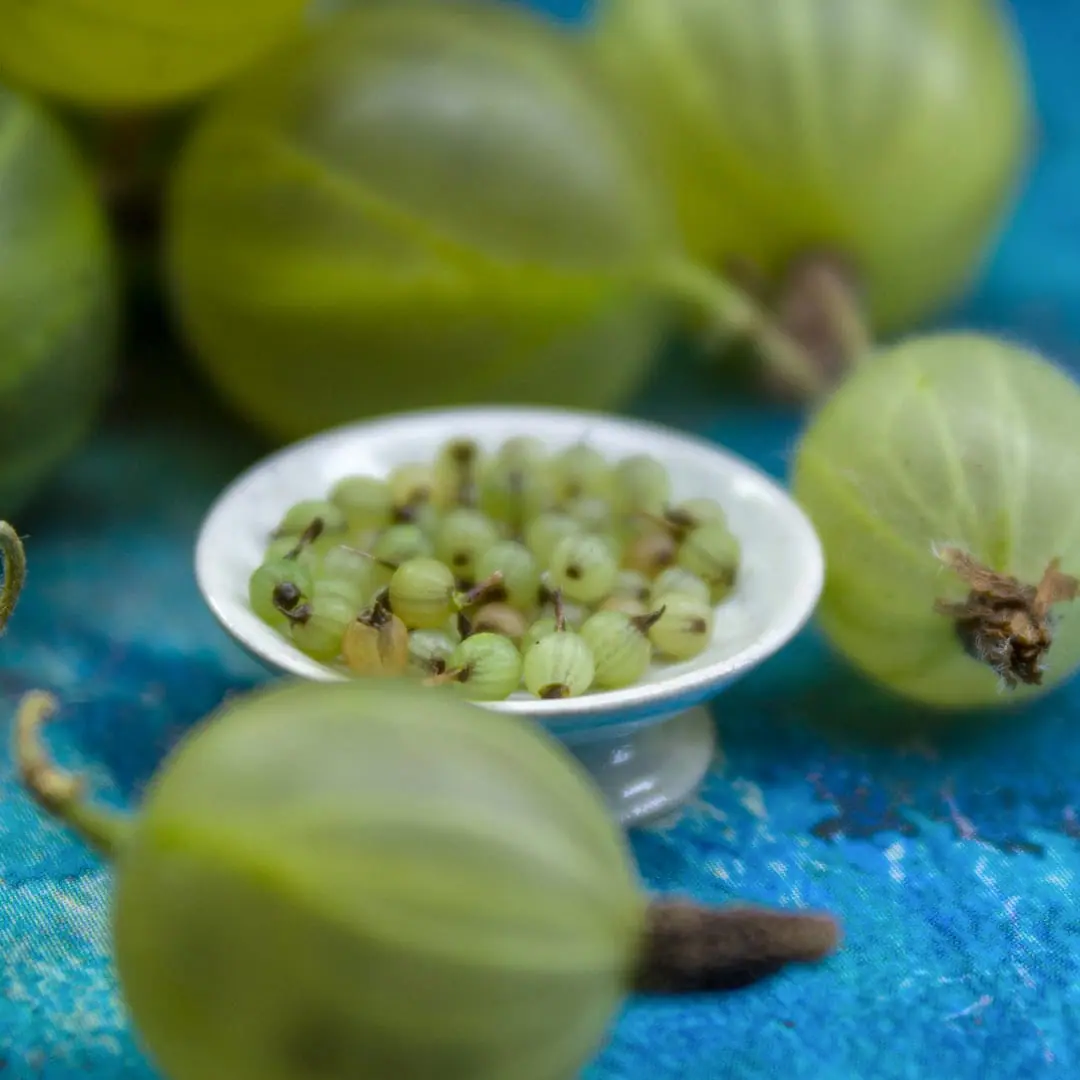 TUTORIAL Miniature gooseberries with polymer clay - DailyDoll Shop