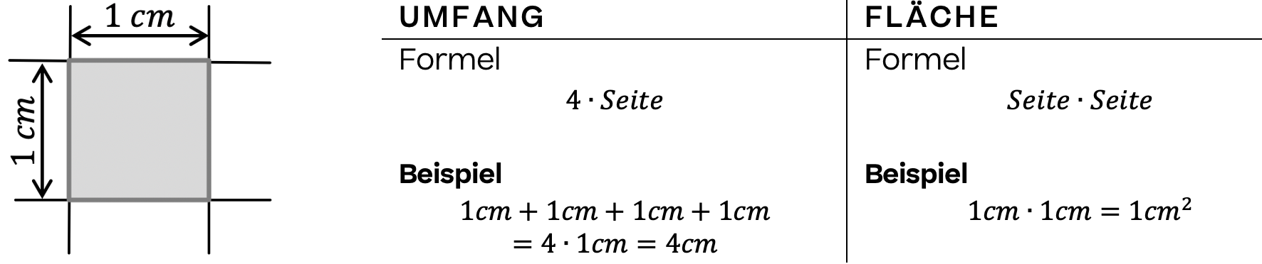 evulpo - Fläche und Umfang