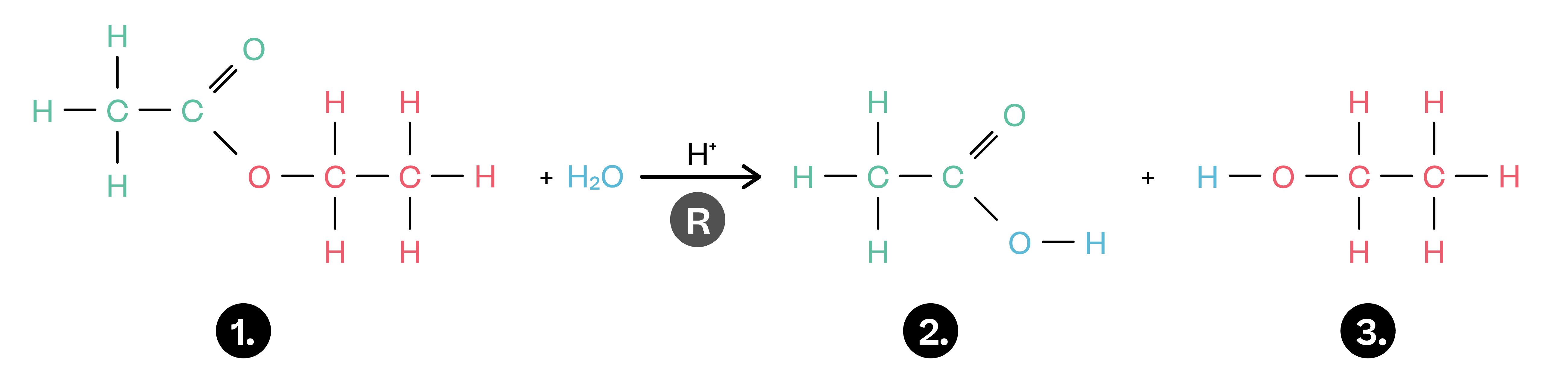 Herstellung und Eigenschaften der Carbonsäureester - Chemie : Erklärung ...