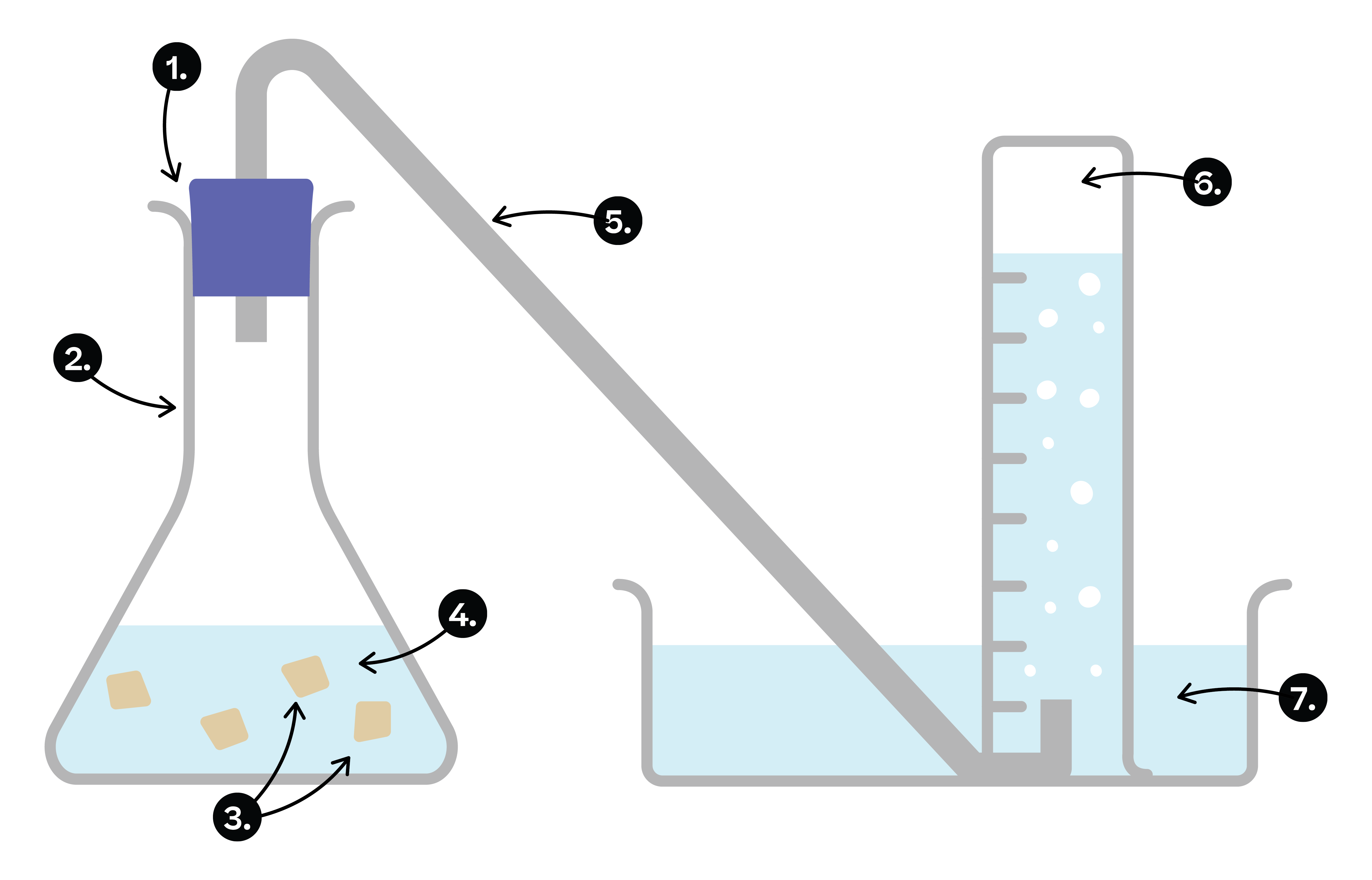 evulpo - Enzymes continued