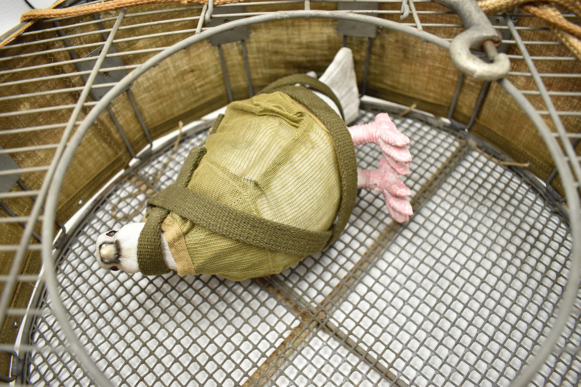 U.S WW2 Airborne Signal Corp pigeon carrier basket – Byf41