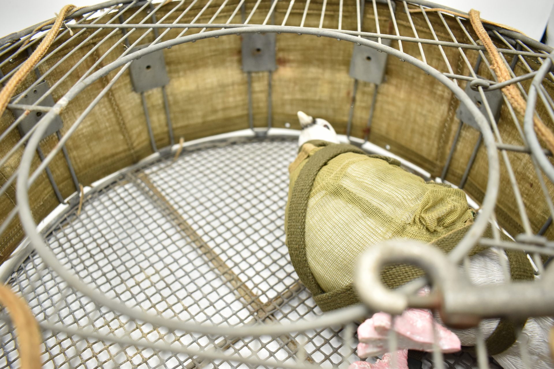 U.S WW2 Airborne Signal Corp pigeon carrier basket – Byf41