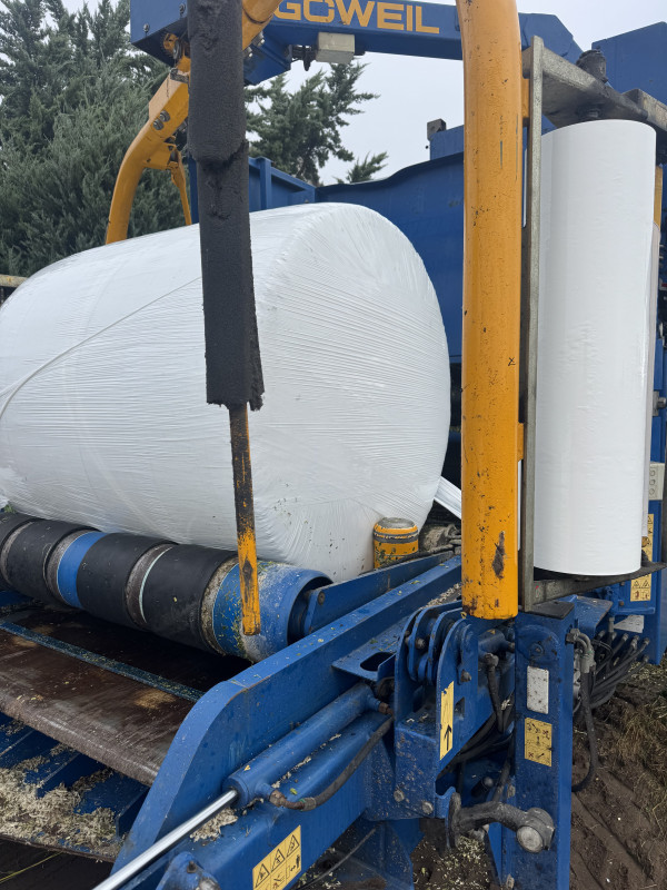 Wysłodki Buraczane luzem lub w belach - Ogłoszenia - Moja Ostrołęka