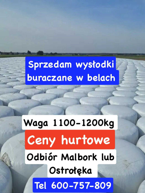 Wysłodki w Belach - Ogłoszenia - Moja Ostrołęka