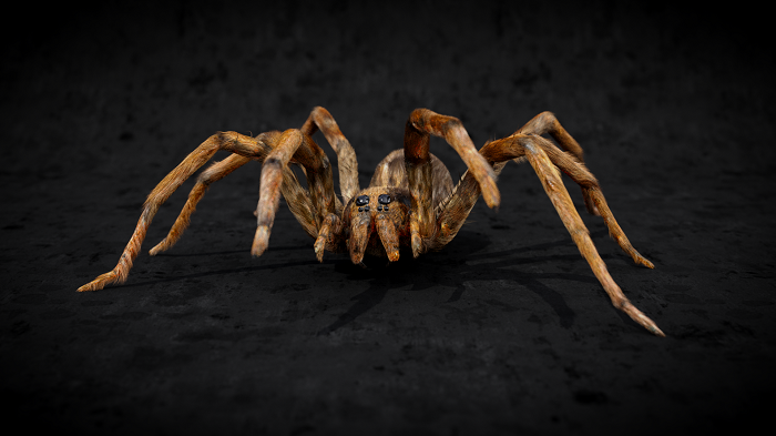 Open3DLab • D10nys1us