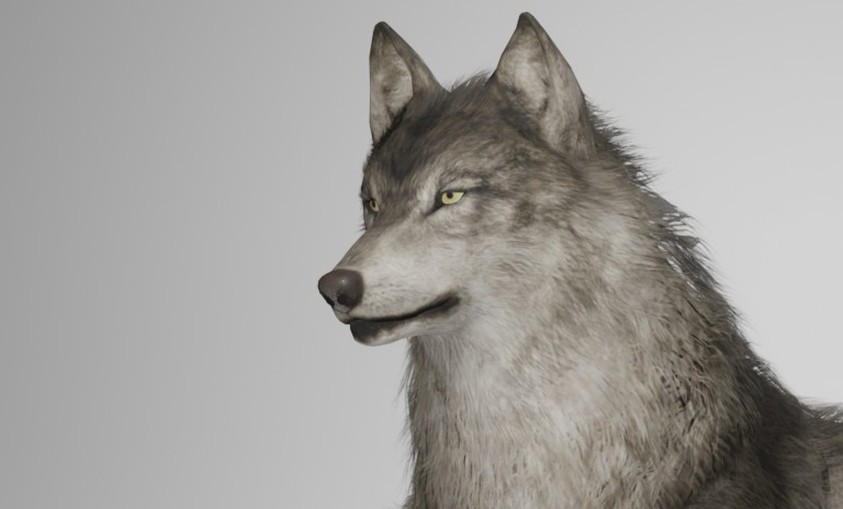Open3DLab • Blender Animals/Feral