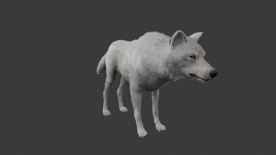 Open3DLab • Animals - Rise of the Tomb Raider