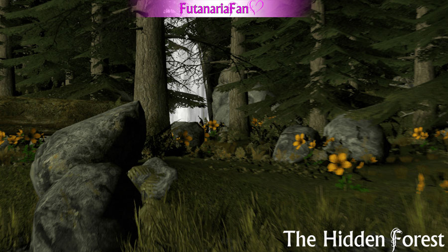 SFMLab • The Hidden Forest