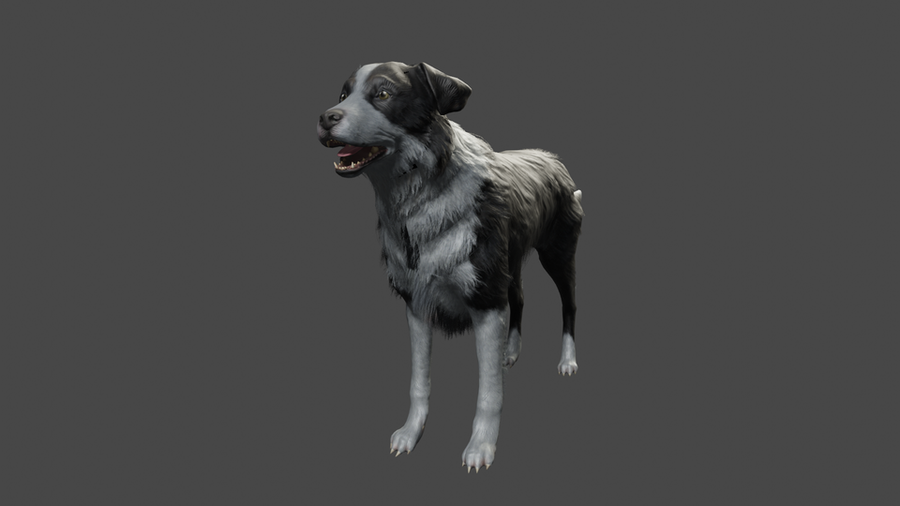 Open3DLab • Fallout 4 - Dog models